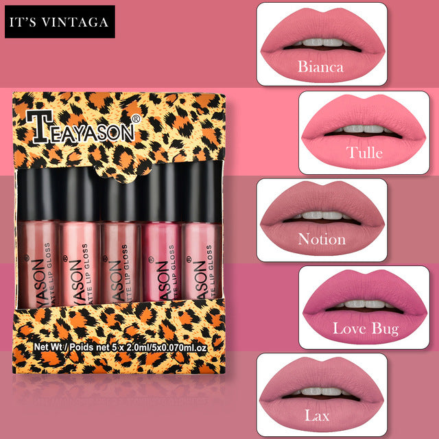 5Pcs Highly Pigmented Waterproof Matte Liquid Lip Cream Set